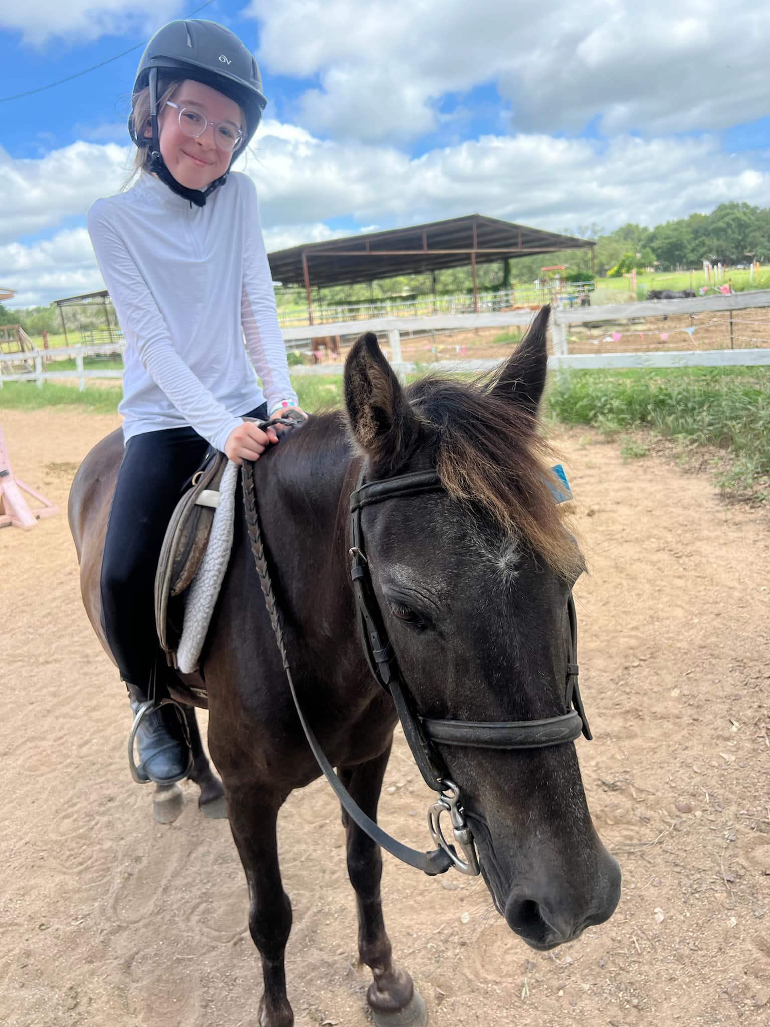 Day Camps – Hunters Chase Farms